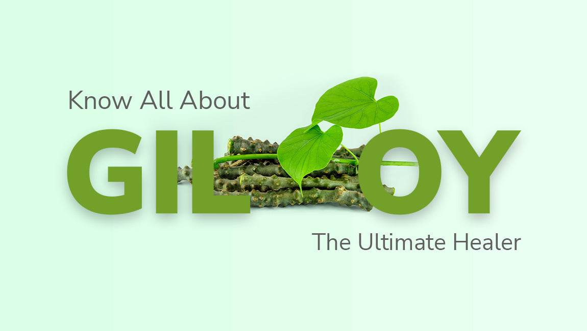 Know All About Giloy: The Ultimate Healer – RHN Satvam